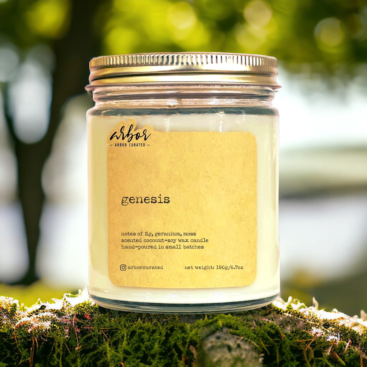 Genesis – Arbor Curated